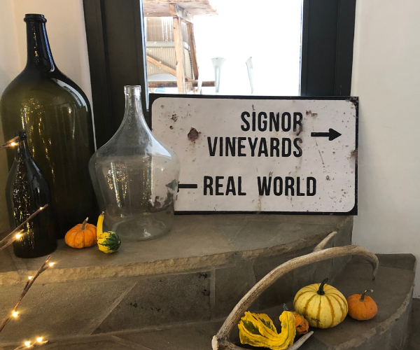 Wine Tasting: Signor Vineyards, Ab Astris and French Connection Wines ...